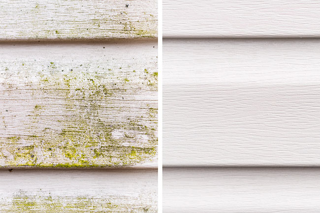 Four Reasons Why Exterior House Soft Washing is a Must | Safari Softwash