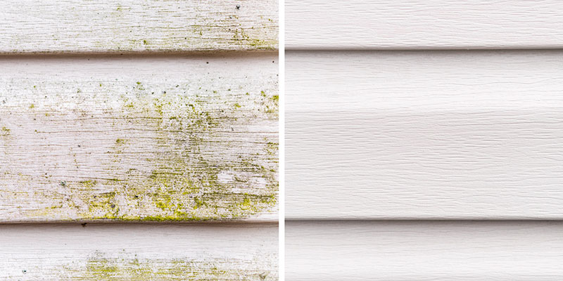 Four Reasons Why Exterior House Soft Washing is a Must | Safari Softwash
